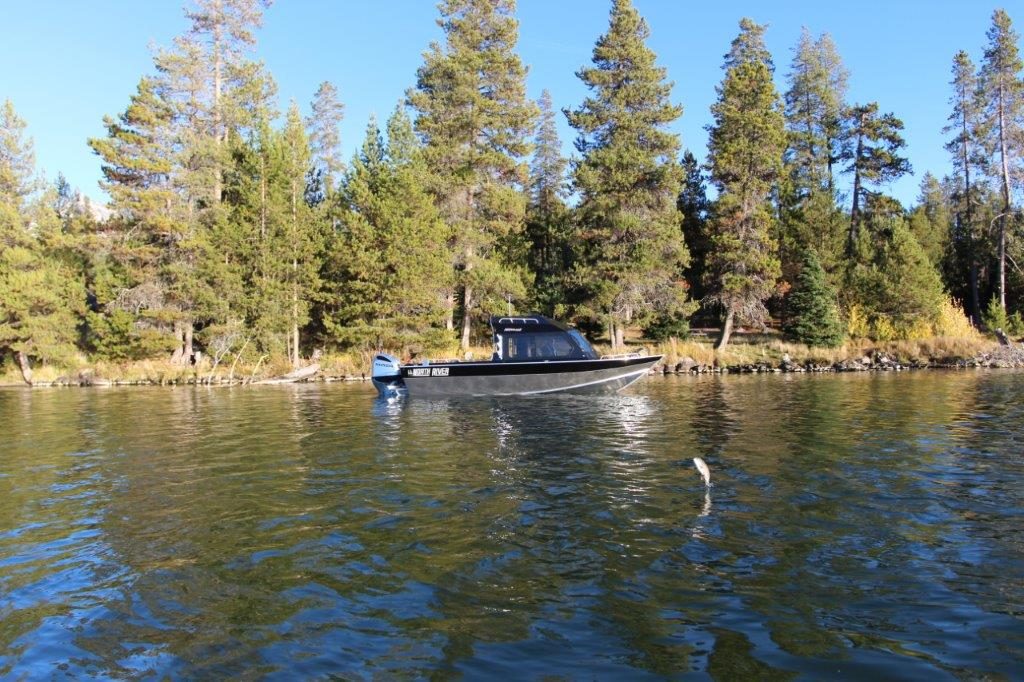 SEAHAWK FASTBACK | North River Boats